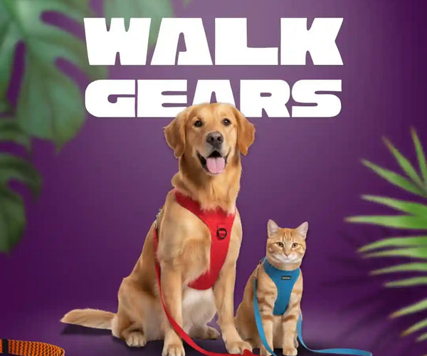 Dog Walk Essentials – PETS N PARENTS